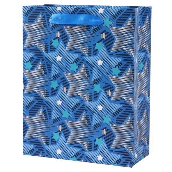 SCRIPTO MEDIUM GIFT BAG - National Stationery